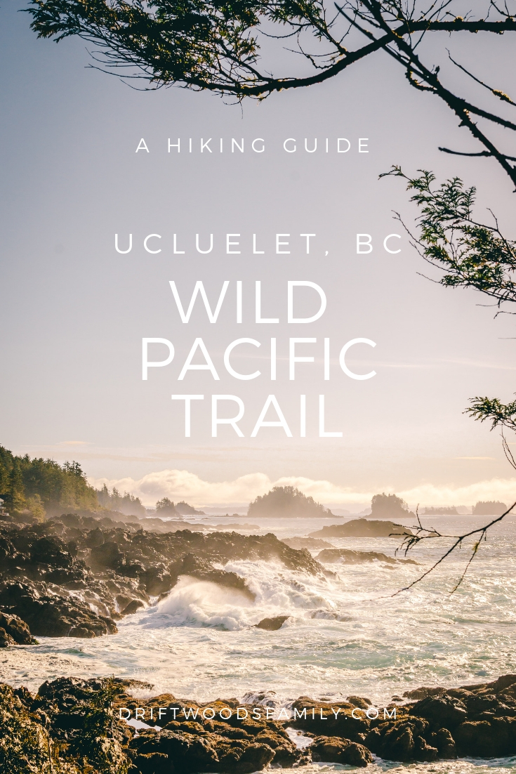 The Wild Pacific Trail in Ucluelet, BC - The Driftwoods Family