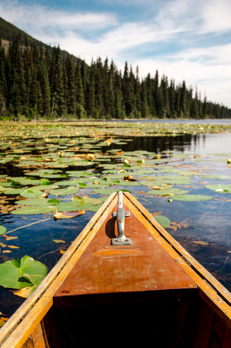 A Northern BC Tour With Adventure Camp Tourism - The Driftwoods Family