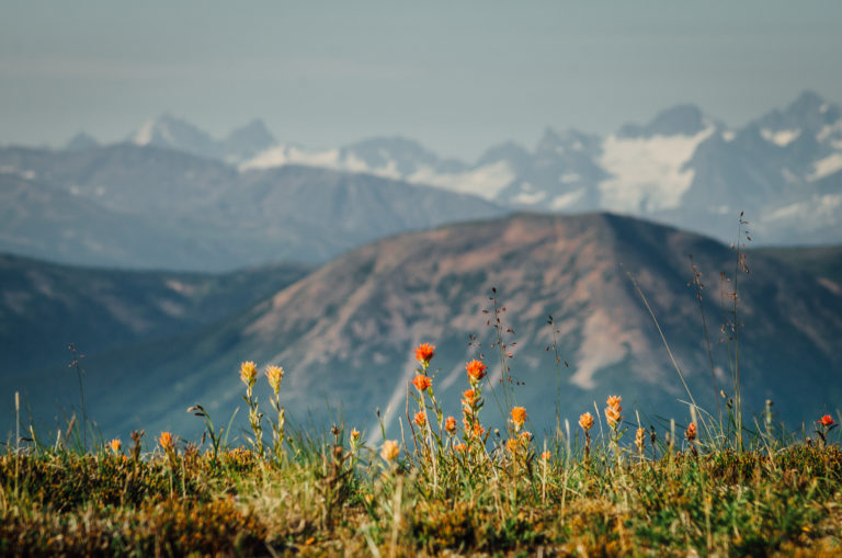 Top 10 Things To Do In Northern BC - The Driftwoods Family