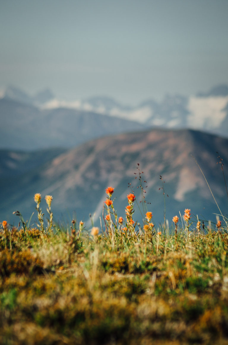 A Northern BC Tour With Adventure Camp Tourism - The Driftwoods Family