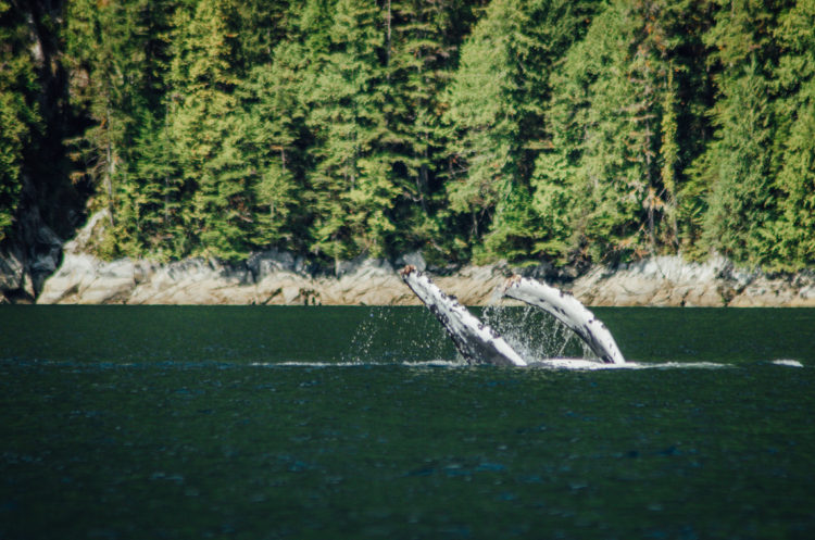 Top 10 Things To Do In Northern BC - The Driftwoods Family
