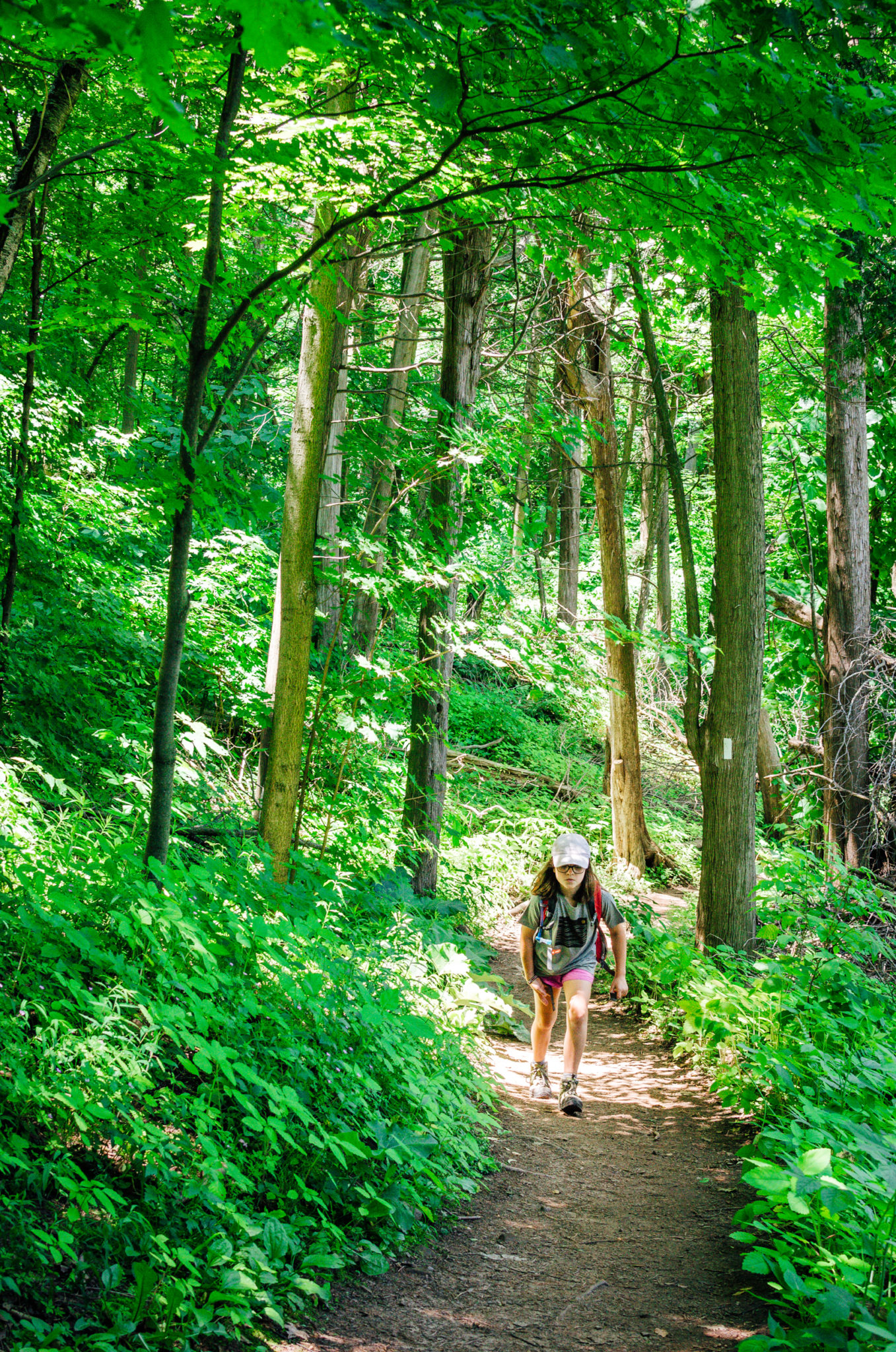 Mount Nemo: An Easy Day Hike from Toronto - The Driftwoods Family